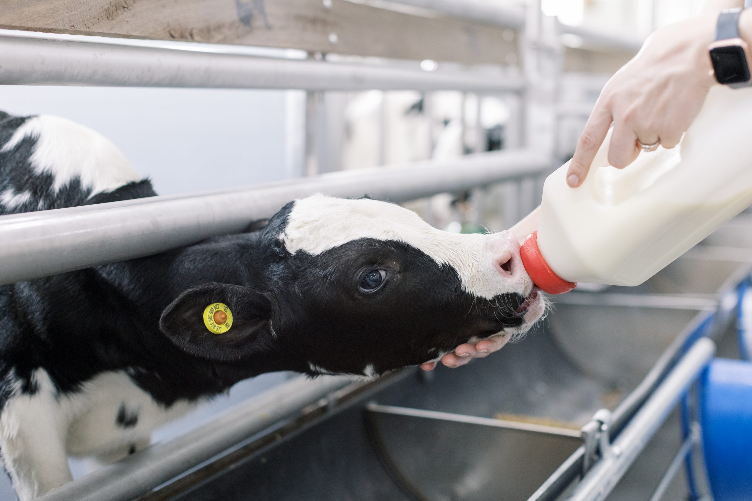 News and Press Releases - Truvital Animal Health